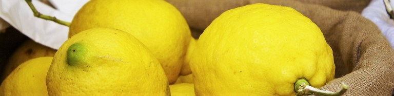 I limoni di Mentone, curiosità e leggende sul nobile frutto